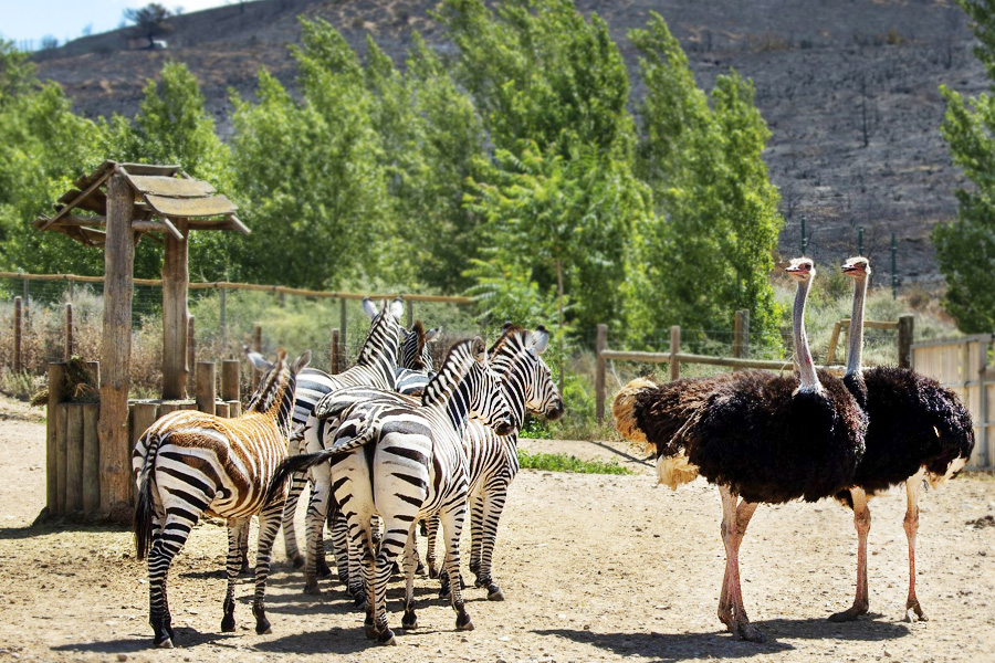 What to see in and around Bardenas Reales | Visit Navarra