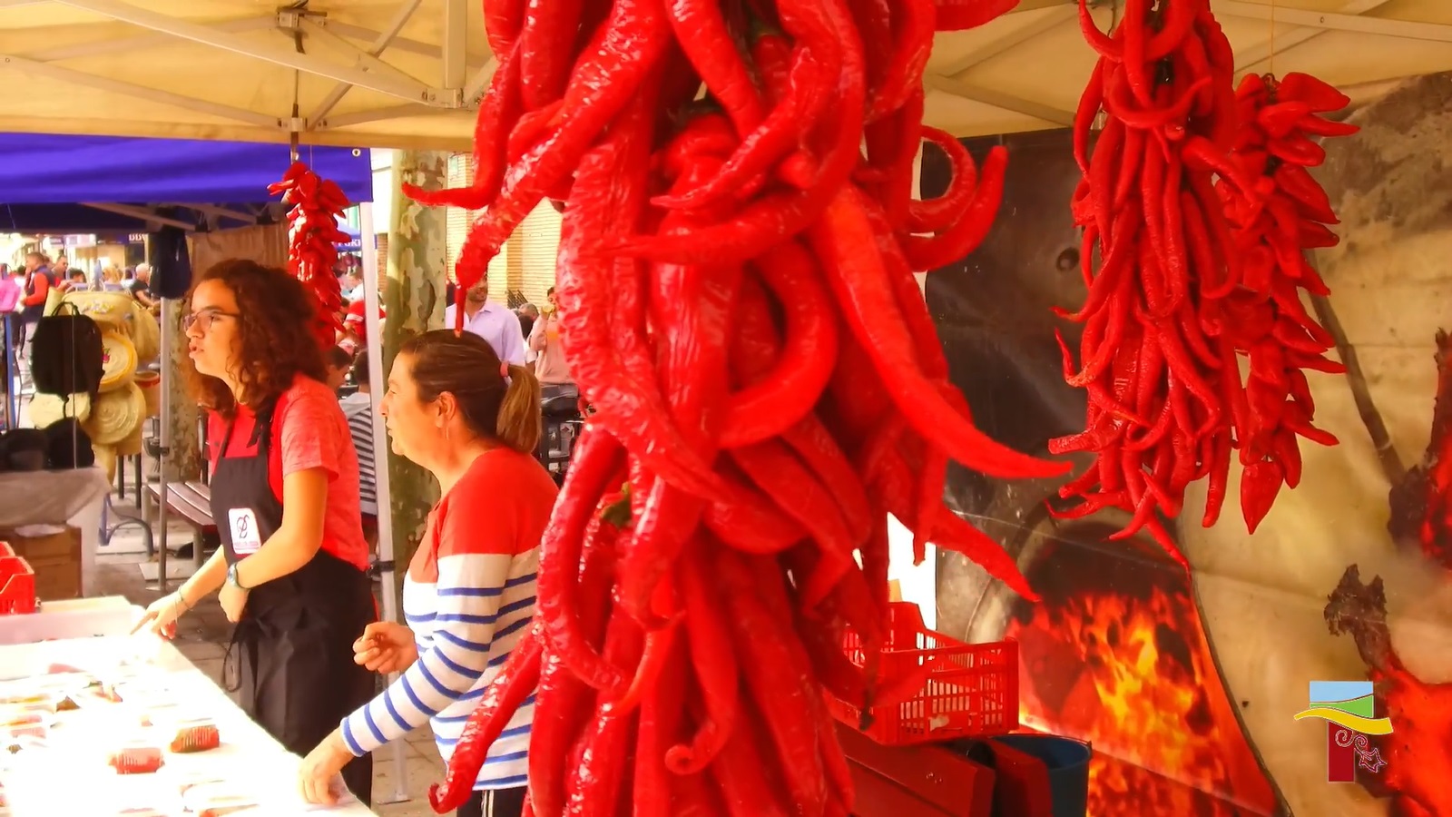 Jornada de Exaltación del Pimiento del Piquillo de Lodosa - Planes ...