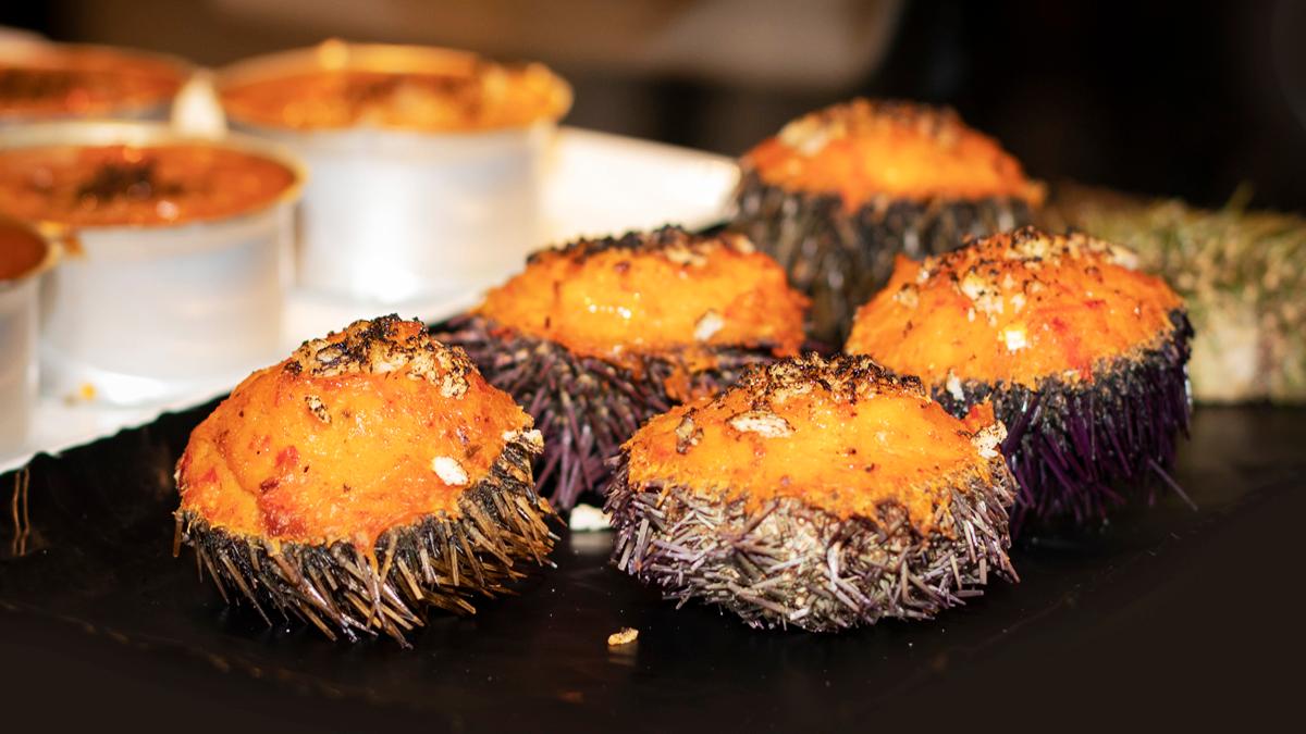 Pinchos en Navarra | Visit Navarra - Web Oficial de Turismo de Navarra
