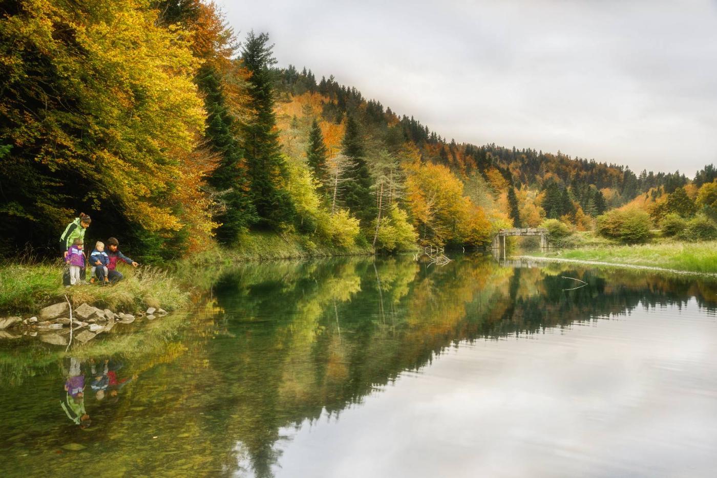 Irati forest | Visit Navarra - Official Website of the Navarre Tourist ...