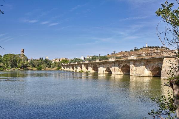 Tudela | Visit Navarra - Official Website of the Navarre Tourist Board